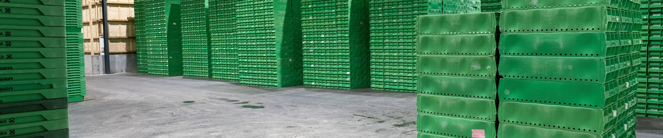 All about RTI Tracking