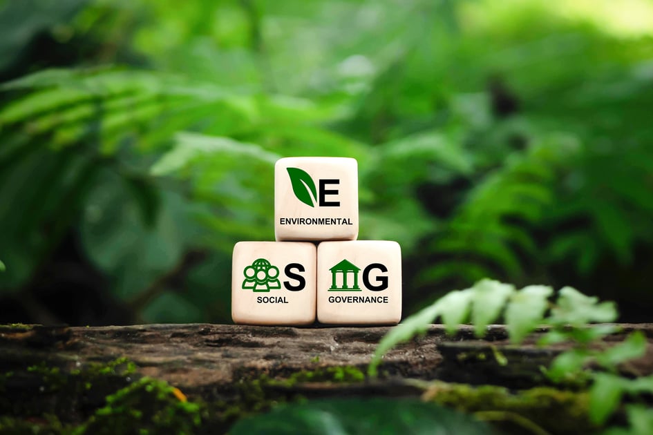 Sustainability Vision and Strategy