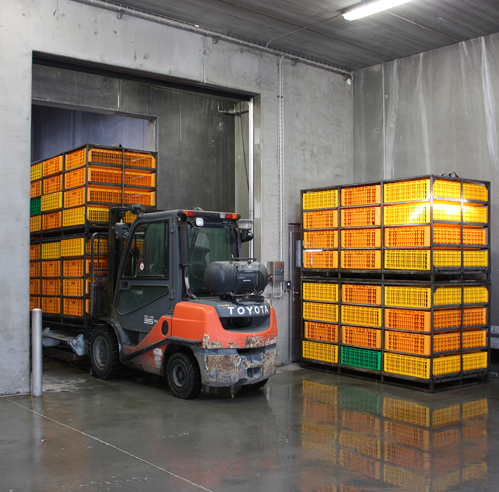 All about RTI Tracking