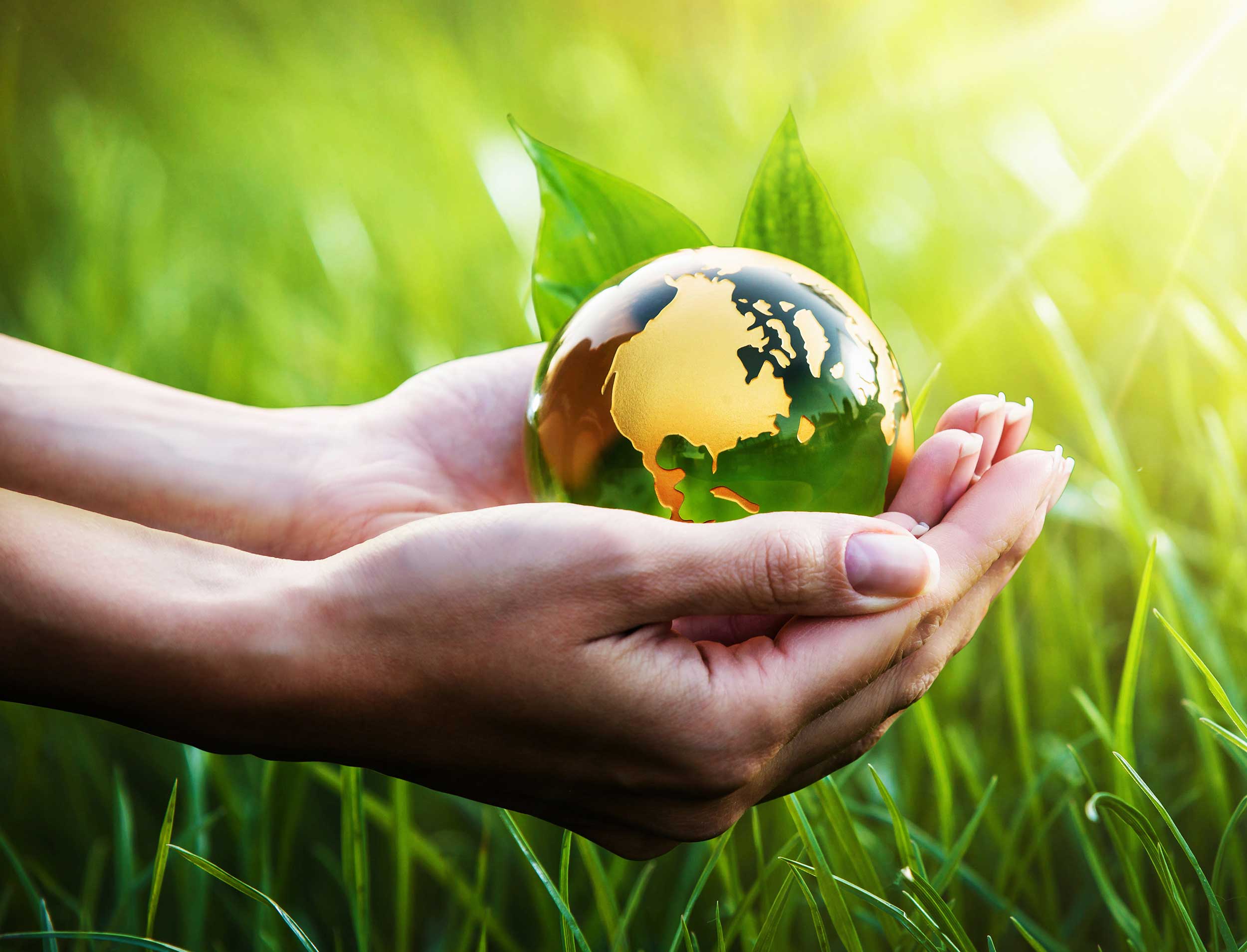 Our ESG and sustainability initiatives | Read more